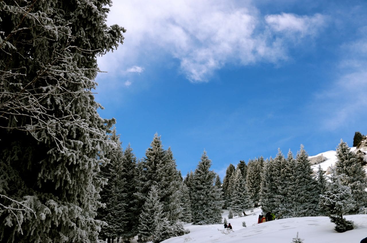 Urumqi NanShan in Winter | Hiking Through the Snow 乌鲁木齐南山