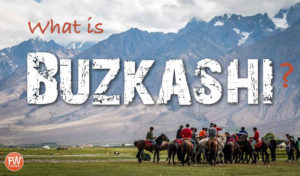 What is Buzkashi? Rules & Traditions Explained (world's craziest sport!)