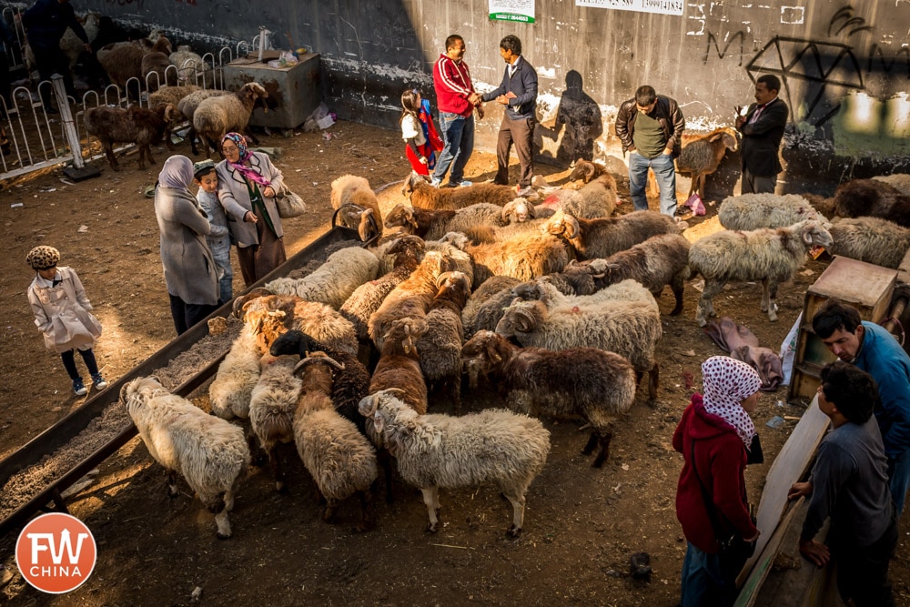 Celebrating Qurban in Urumqi, Xinjiang | Far West China
